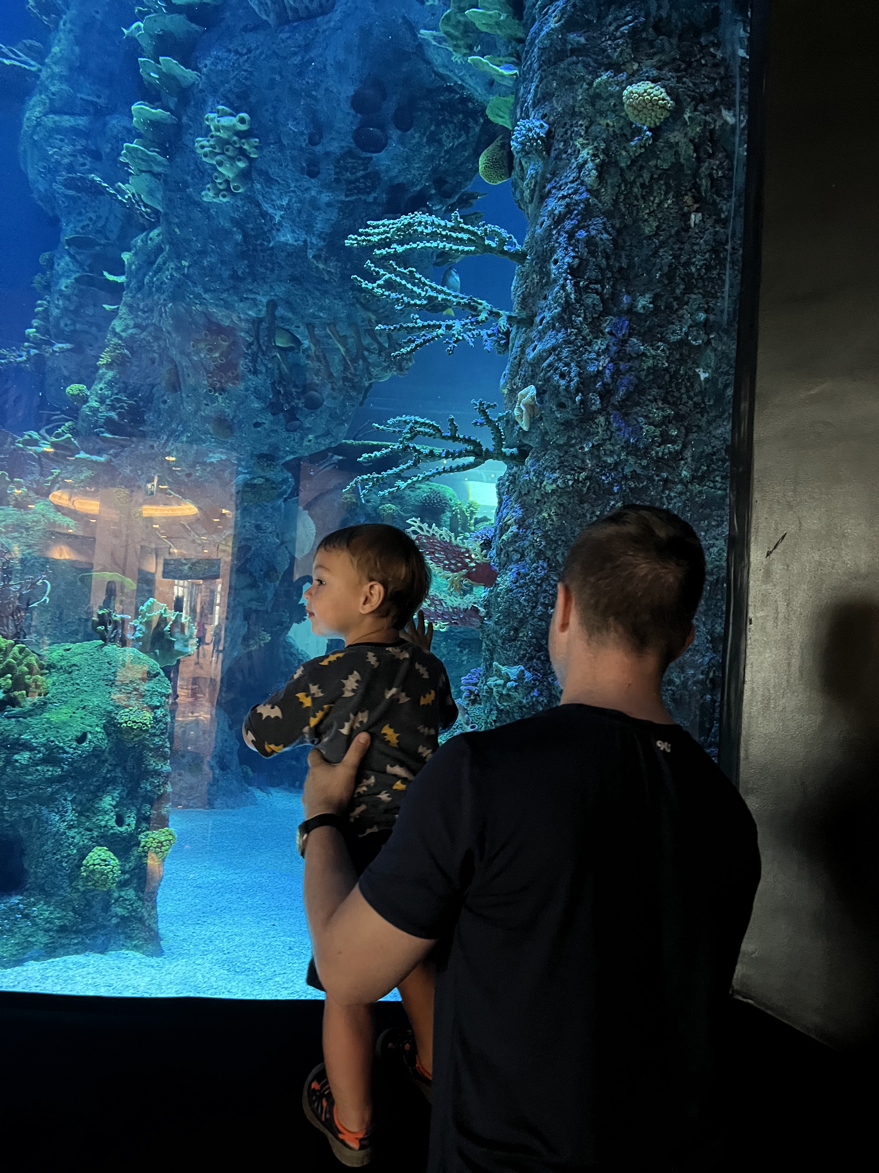 Toddler Travel in Bahrain – Tiny Treks