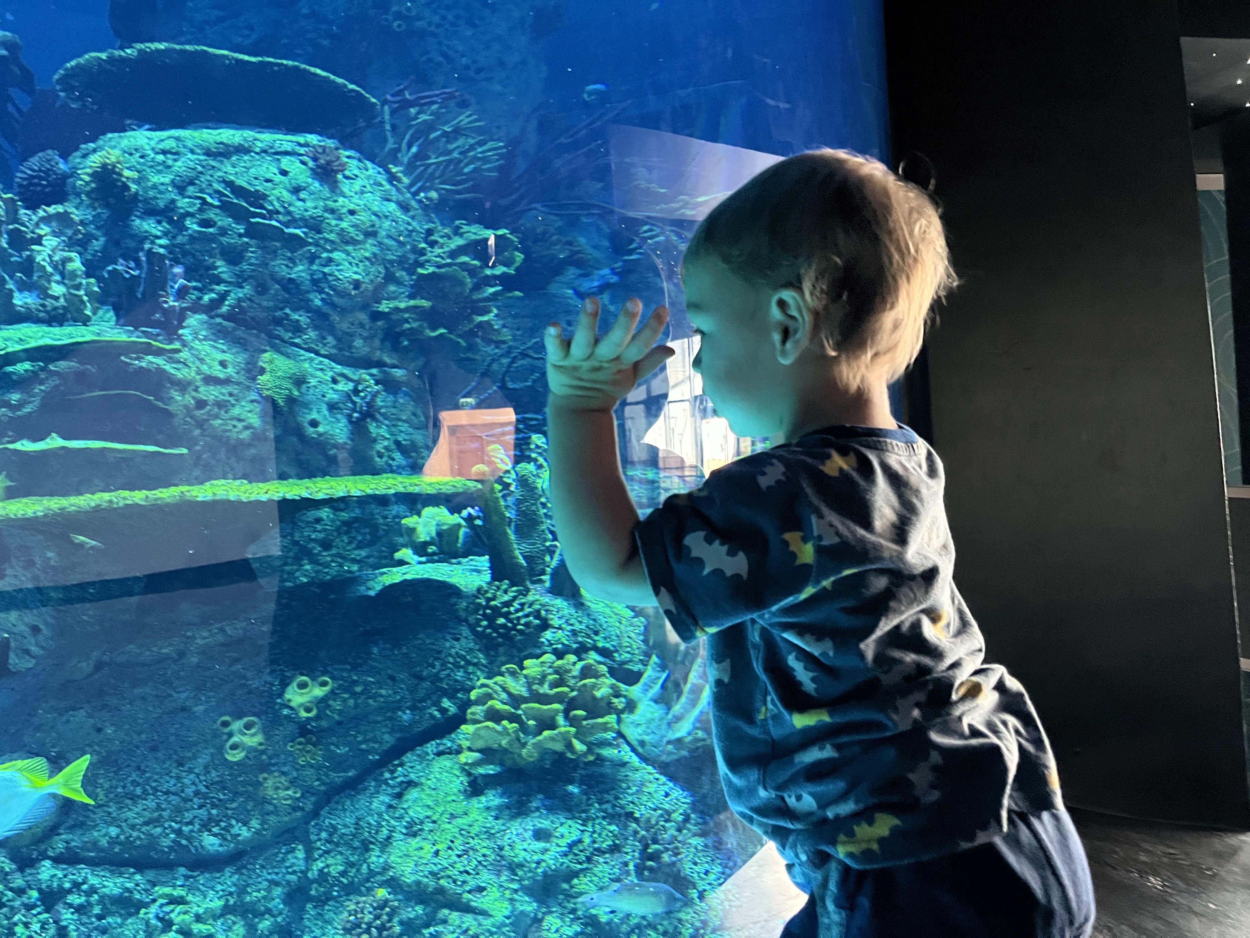 Toddler Travel in Bahrain – Tiny Treks
