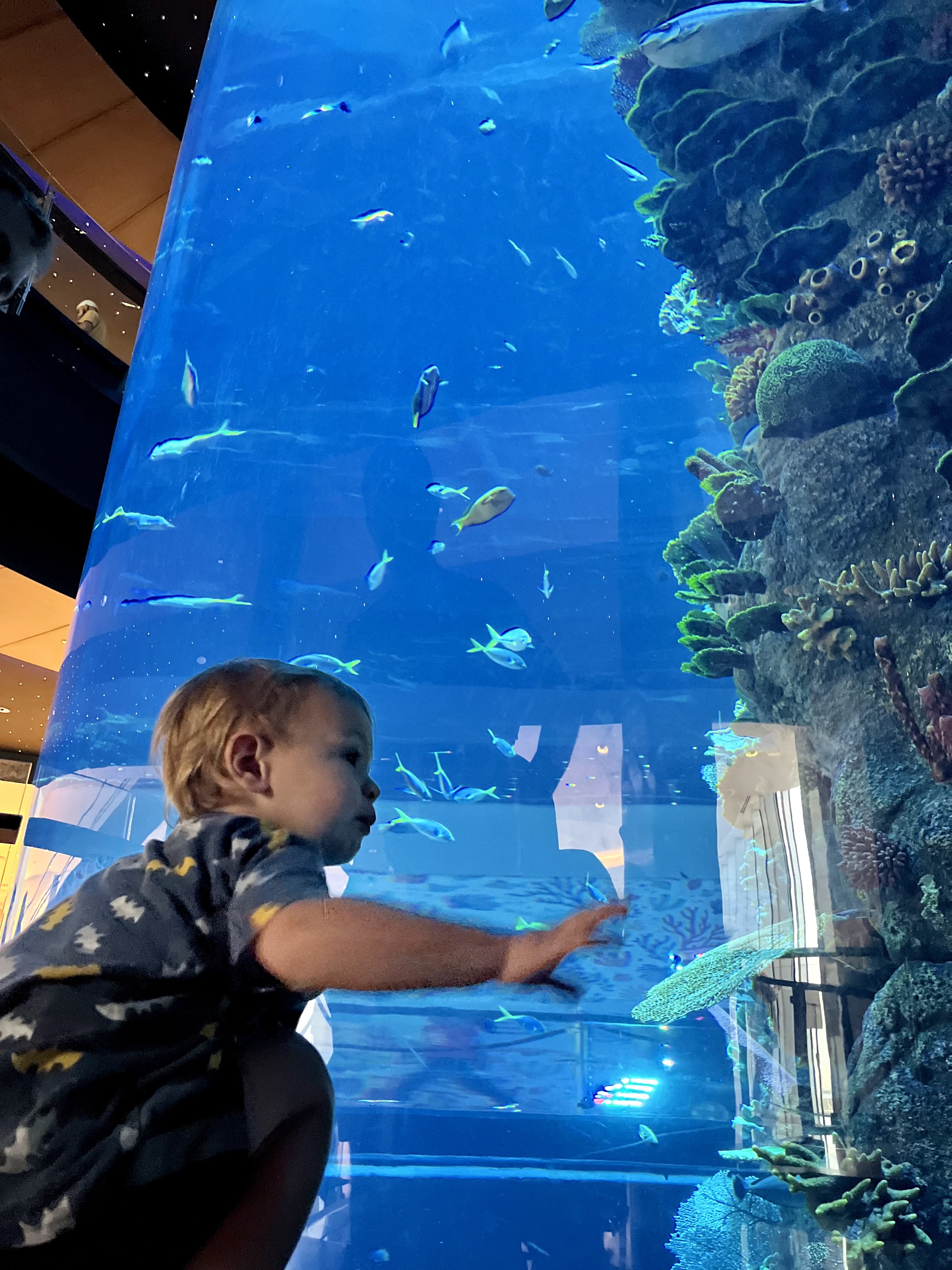 Toddler Travel in Bahrain – Tiny Treks