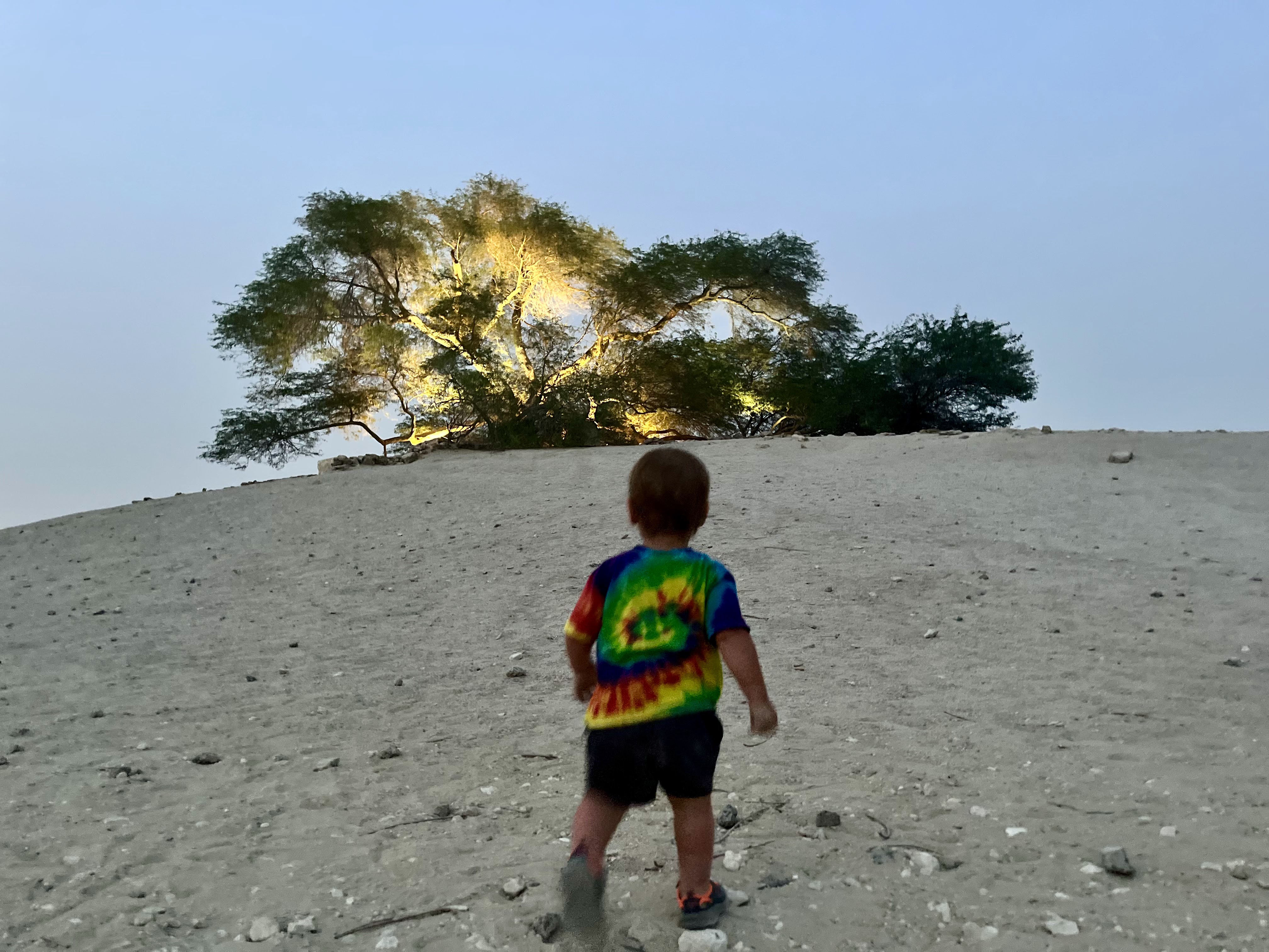Things to do with Toddlers in Bahrain’s Heat – Tiny Treks