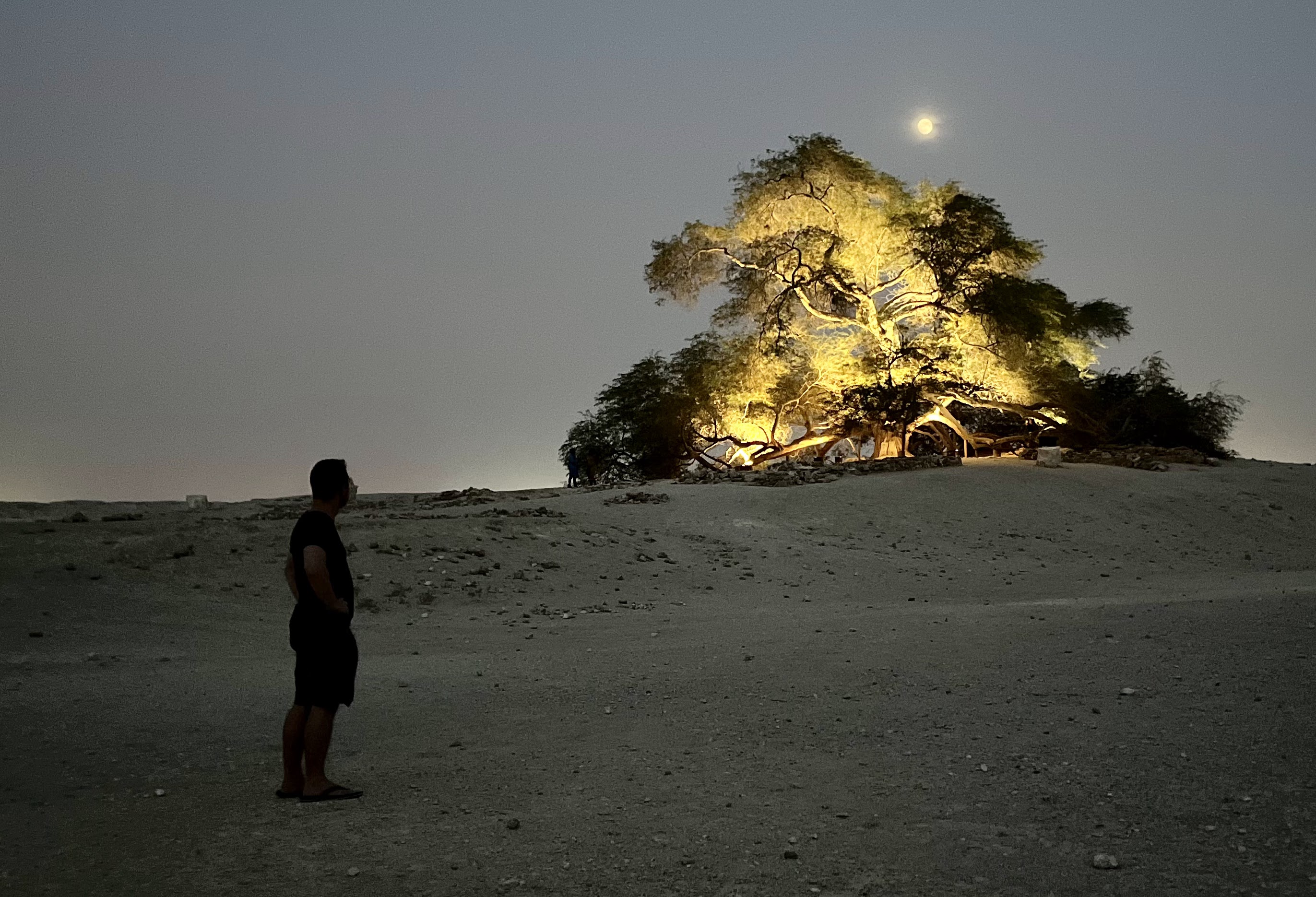 Things to do with Toddlers in Bahrain’s Heat – Tiny Treks
